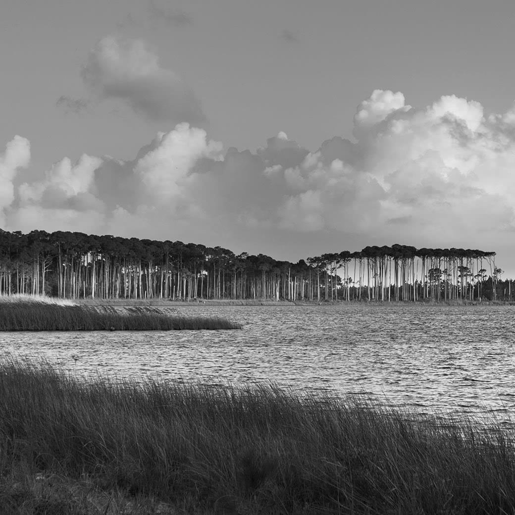 DEVIN OLOUGHLIN TO LEAD RAPP DE&I EFFORTS - RAPP.com