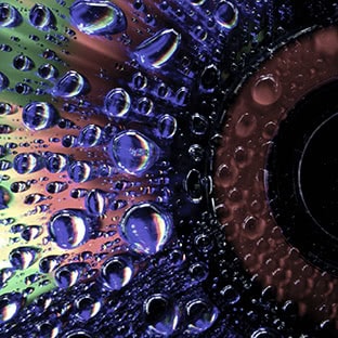 HANNA VANKUIKEN BRANDS FINDING PURPOSE DURING CRISIS - RAPP.com