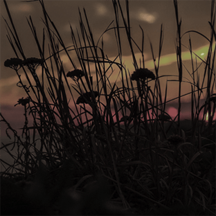 SABRINA CHAMBERLAIN MEASURING CONSUMER LOYALTY - RAPP.com