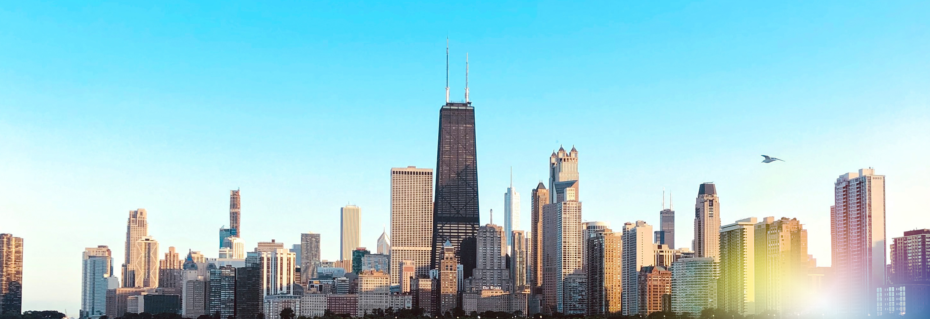 RAPP Chicago - RAPP.com