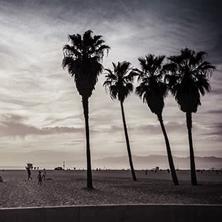 MIMI NICKLIN NEW LEADERSHIP AFTER COVID - RAPP.com